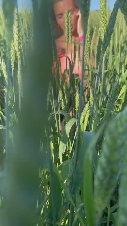 striptease in the field with wheat 21F. | Scrolller