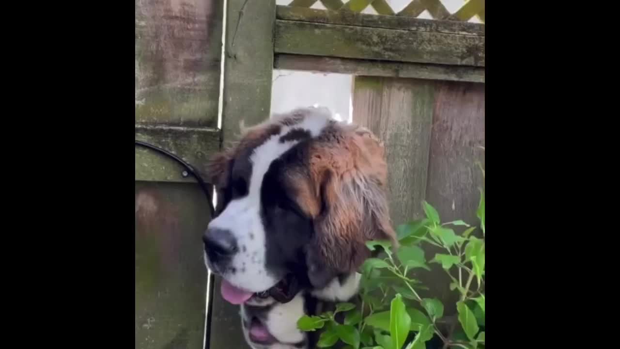 I have some really nosey neighbors | Scrolller