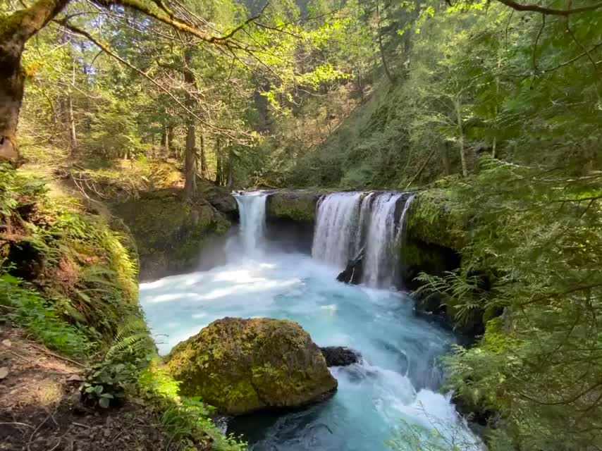 Waterfall in a lush Forest | Scrolller