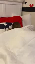 check under the blanket | Scrolller