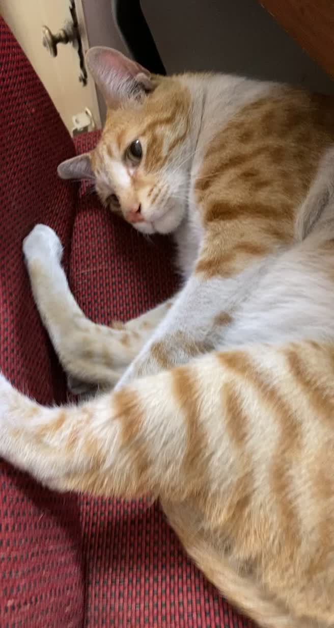 Leave me alone! | Scrolller