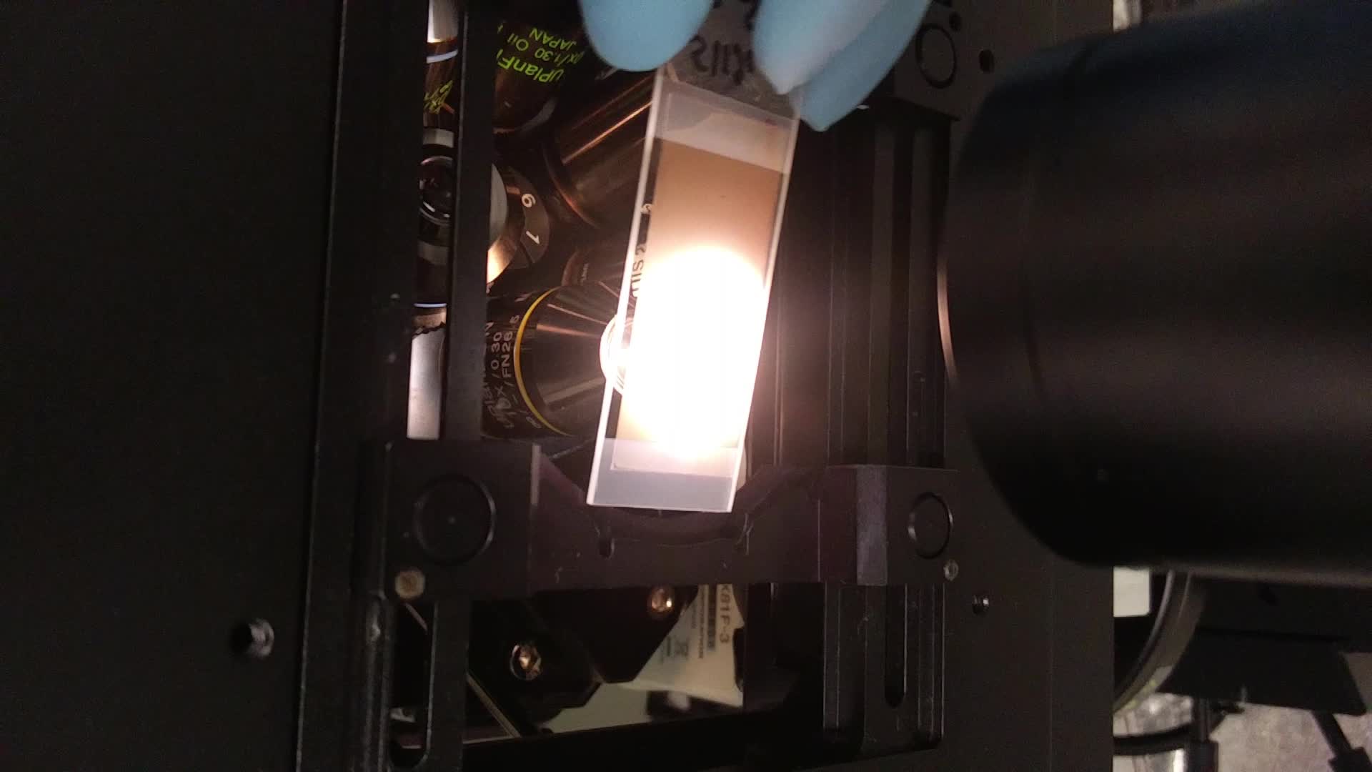 Microscopy shows defects in metallurgy sample magnified to 10x | Scrolller