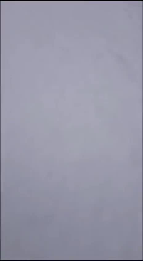 Cat's first encounter with snow | Scrolller