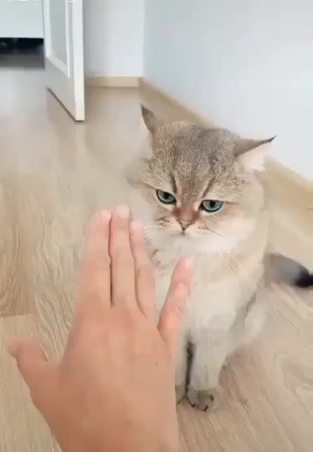 Resisting the temptation | Scrolller