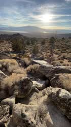 I want it anytime, anywhere | Scrolller