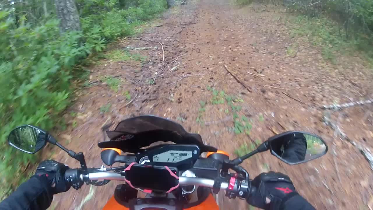 Here's a gif of the fz on a forest road | Scrolller