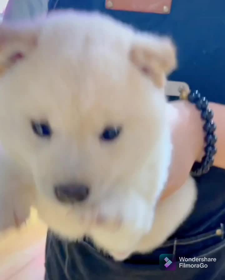 A happy cloud | Scrolller