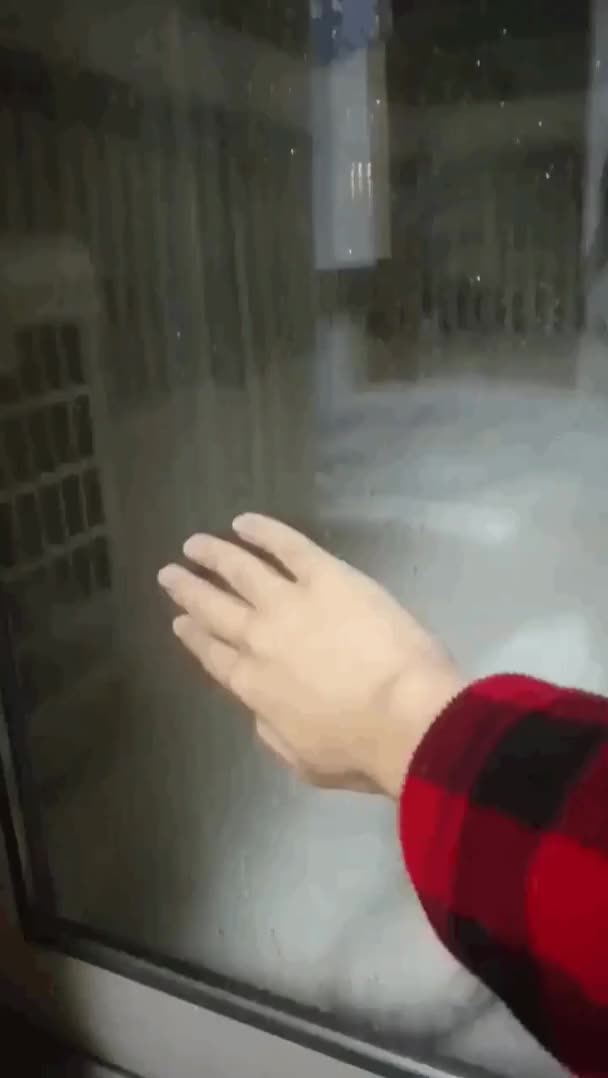 Sure kitty, you can go outside. Let me open the door for you. 😇 | Scrolller