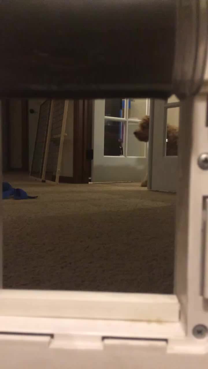 Dum de dum, just moseying along | Scrolller