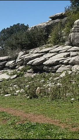 Naked nature walk | Scrolller