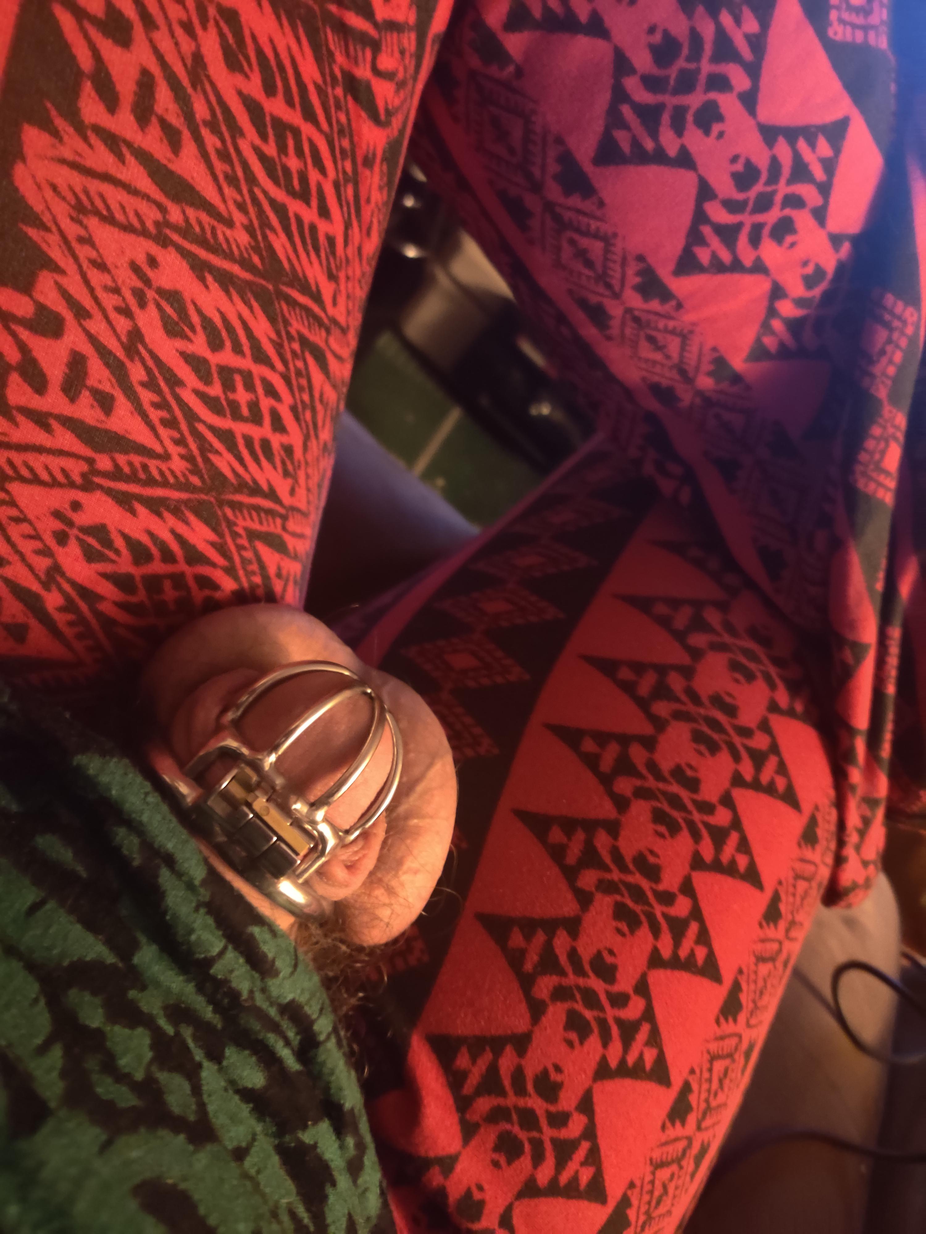 A week in to the new cage | Scrolller