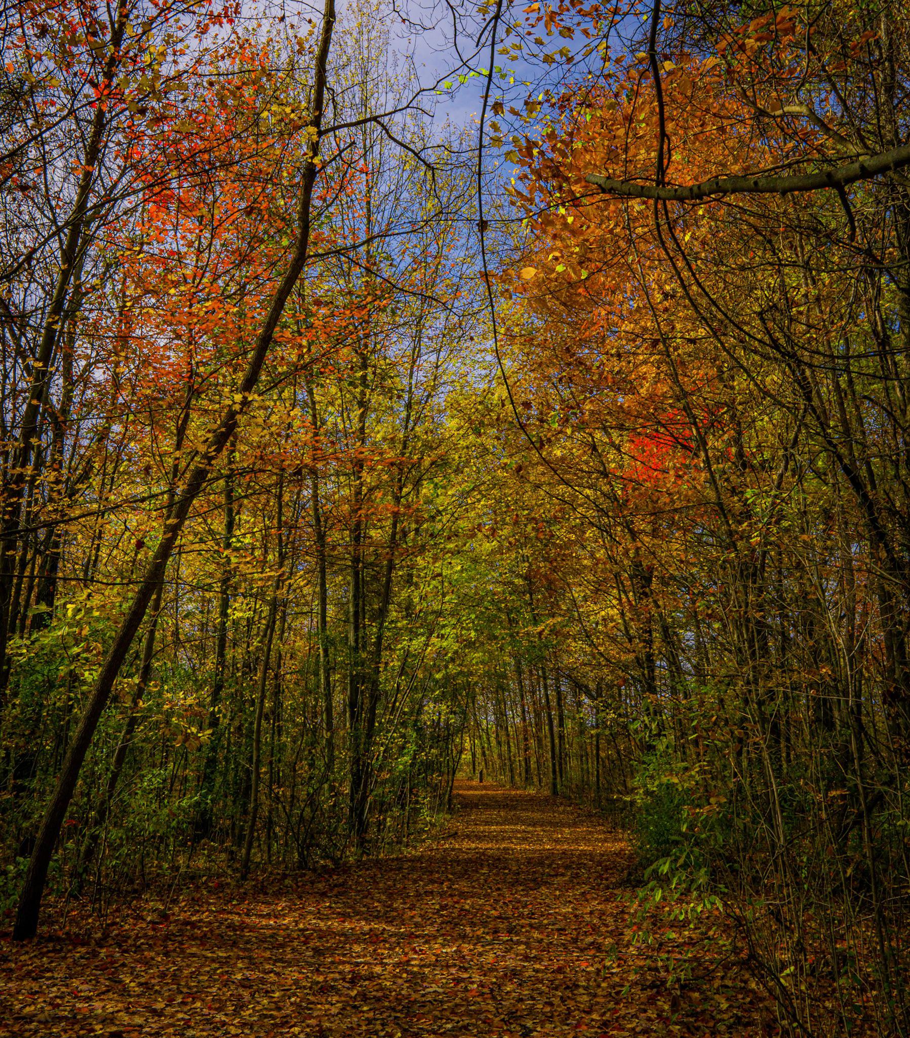 A6000, Sigma 16mm | Scrolller