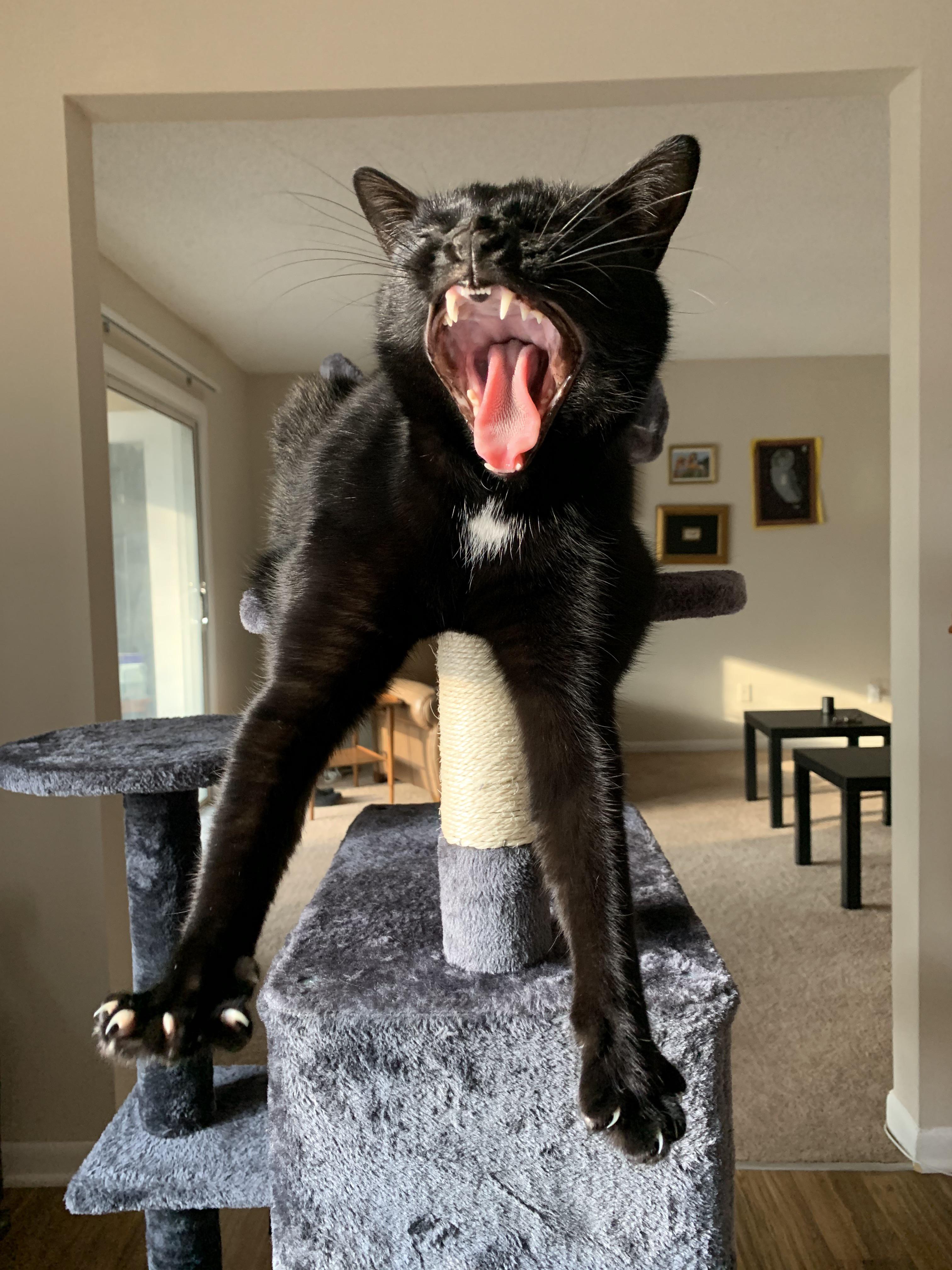 Aaaah the light! It burns! Noooo! | Scrolller