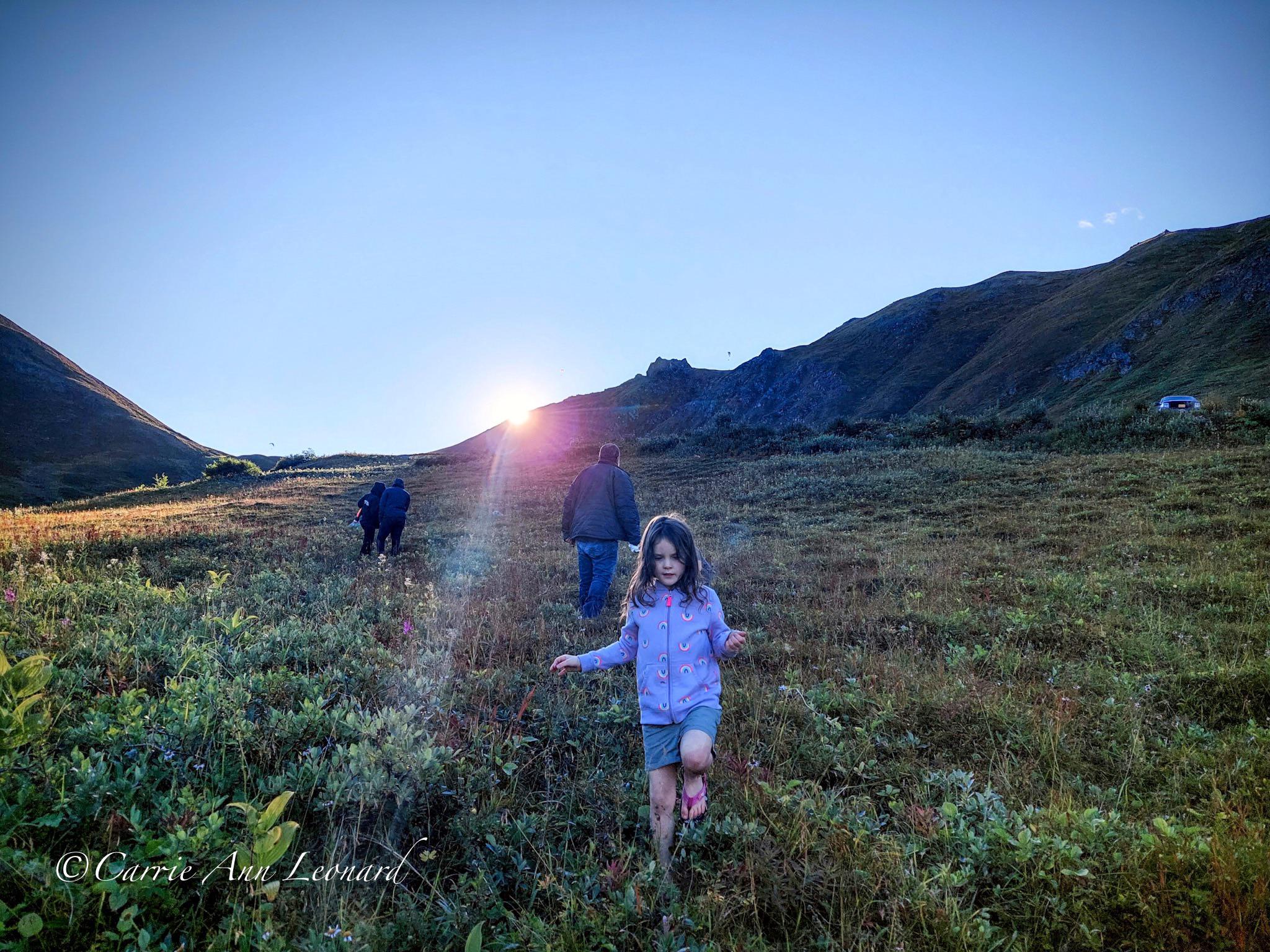 …and then it was Berry Picking Season! [OC] Hatcher’s Pass, Alaska | Scrolller