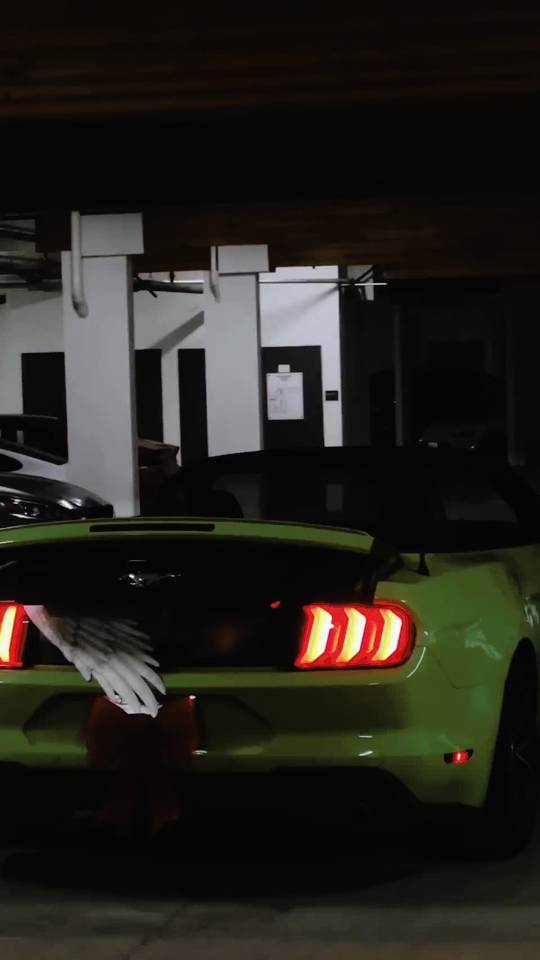 Angel in the trunk | Scrolller