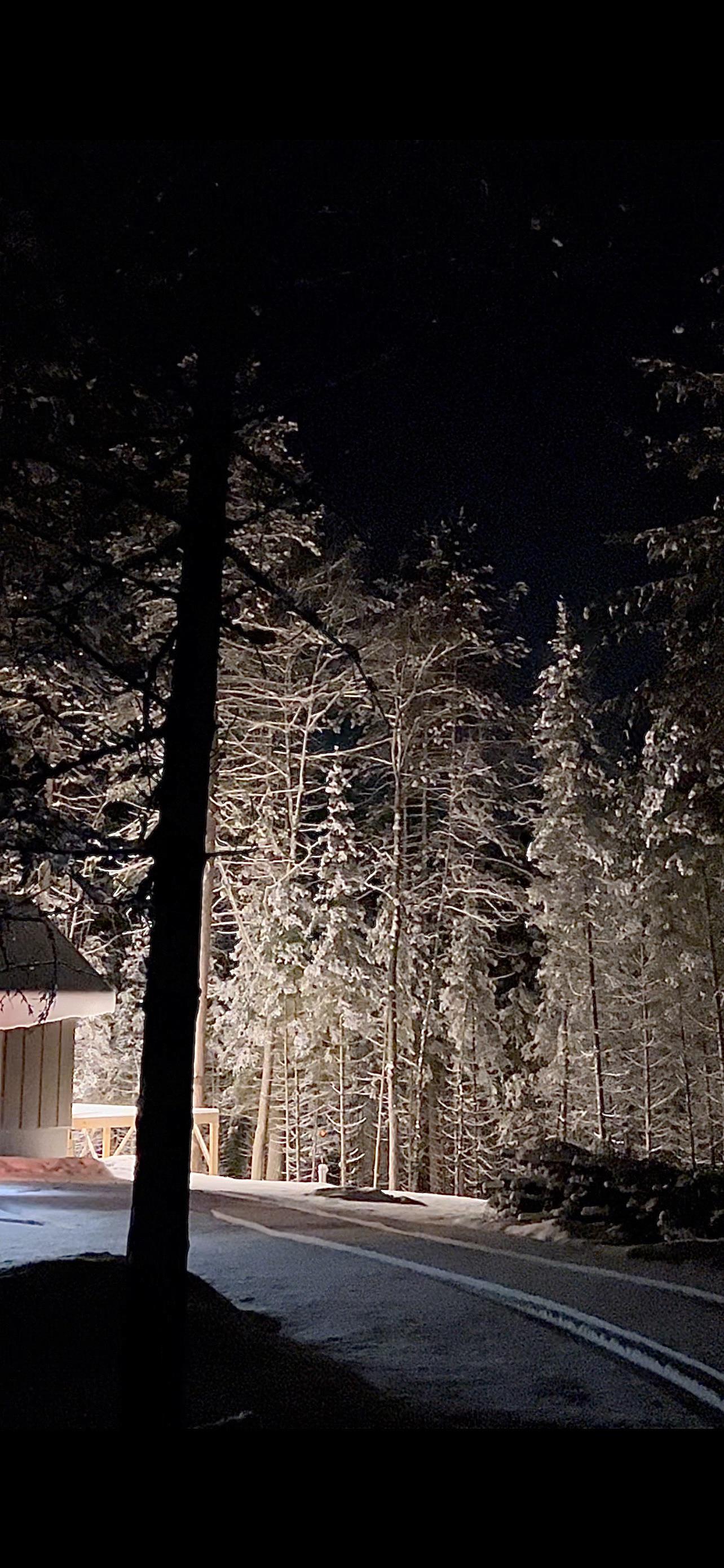 Arriving at our weekend happy place! I love the snow covered trees. | Scrolller
