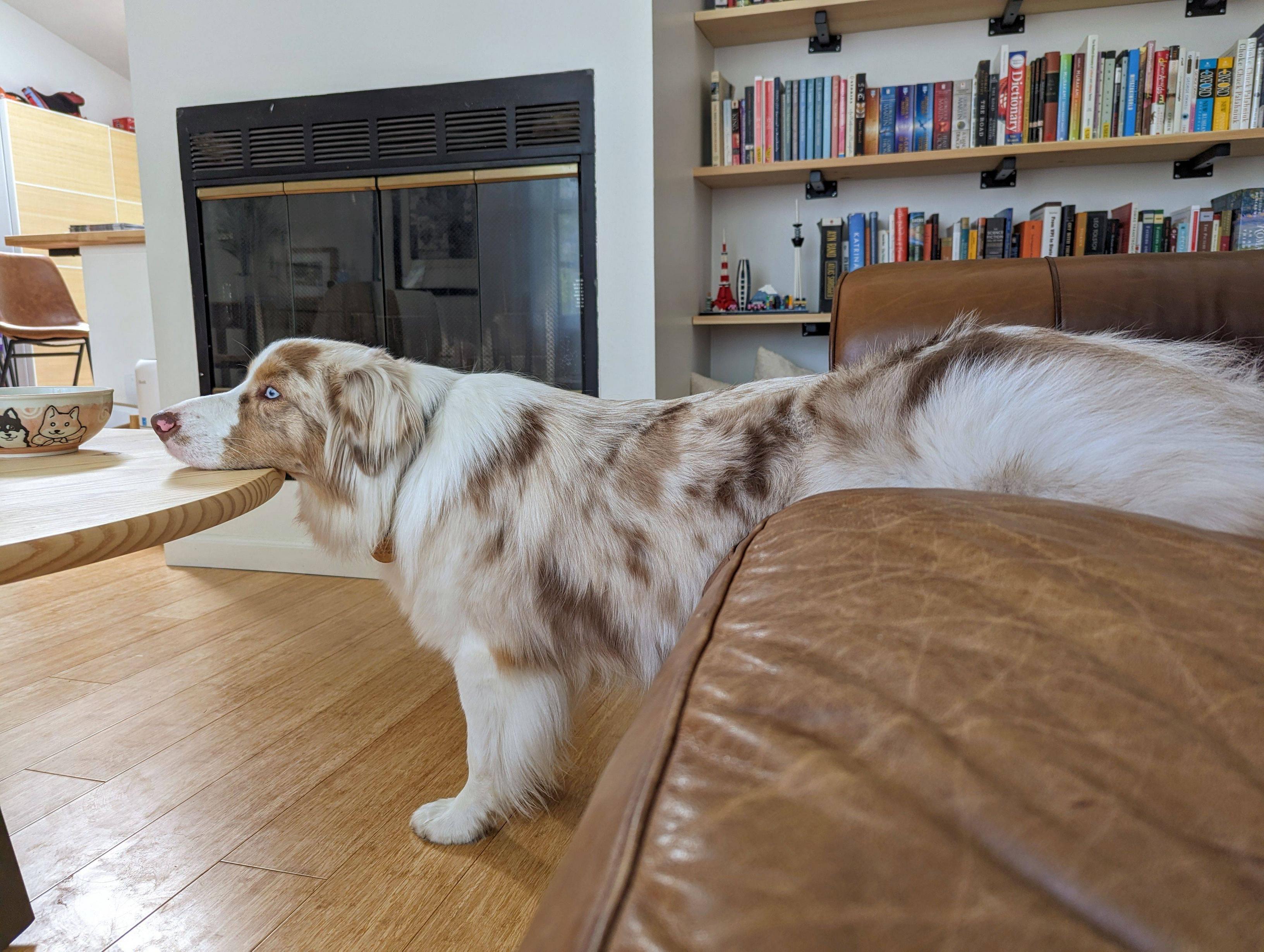 Aussie Bridge | Scrolller