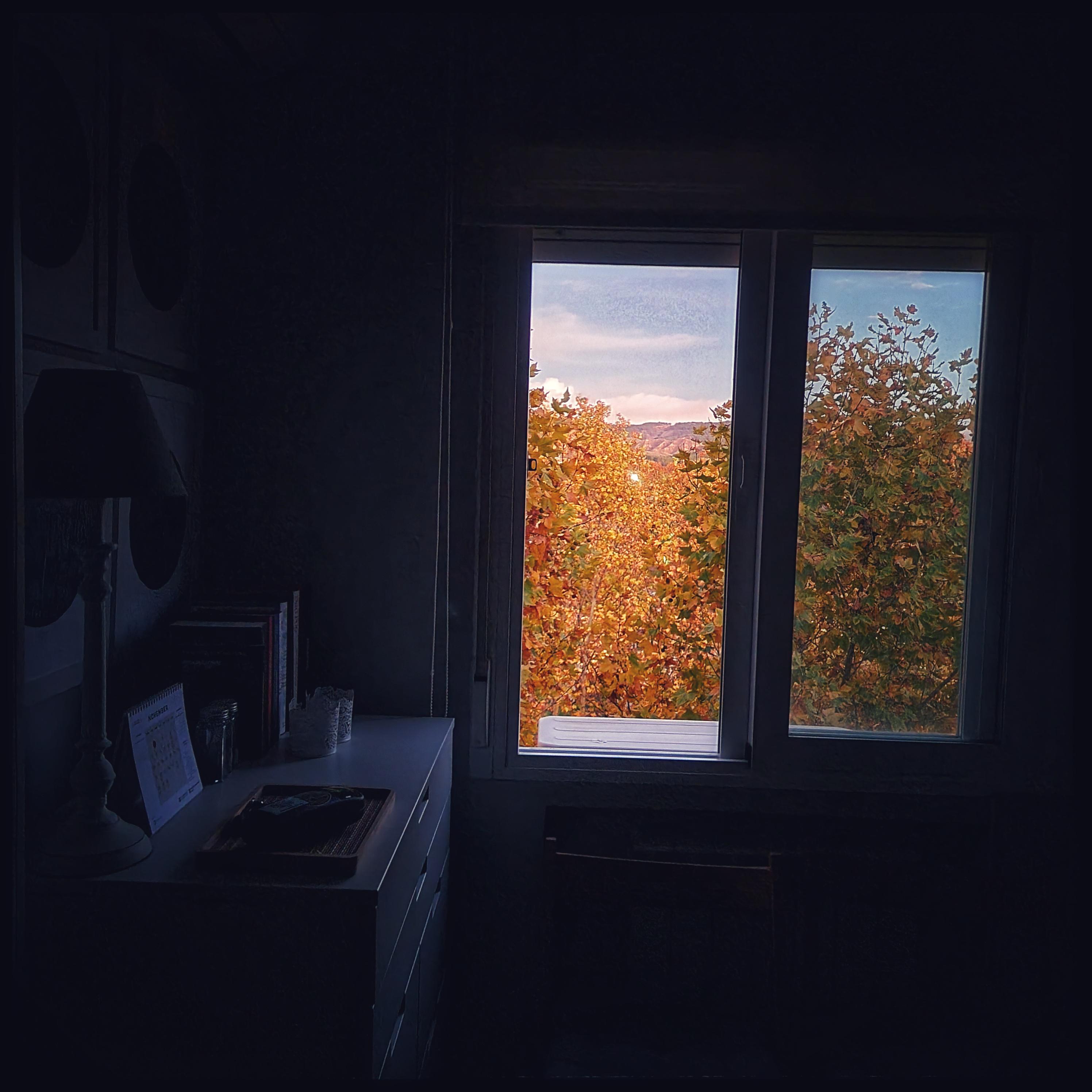 Autumn moods by the window. Madrid | Scrolller