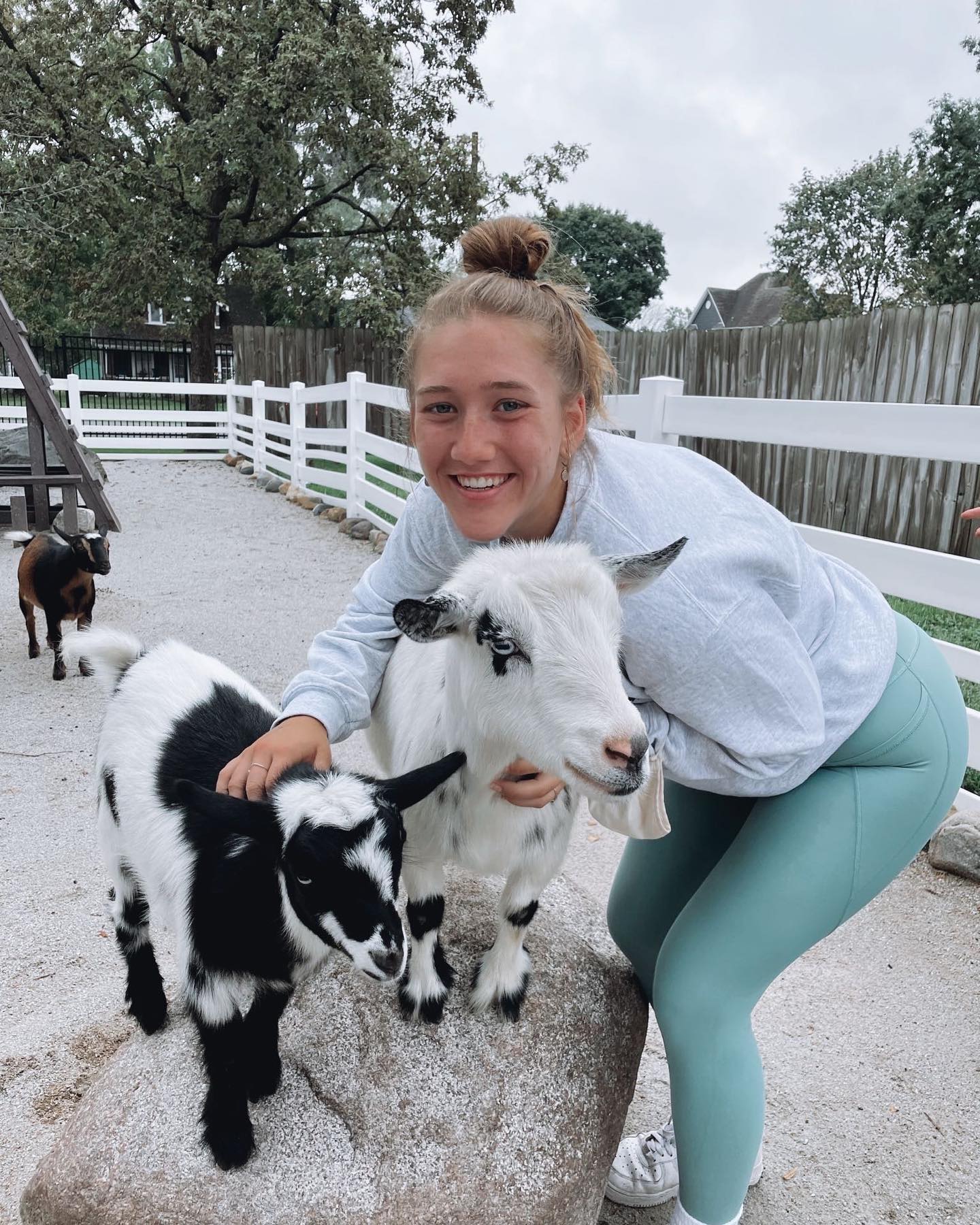 Baby Goats | Scrolller