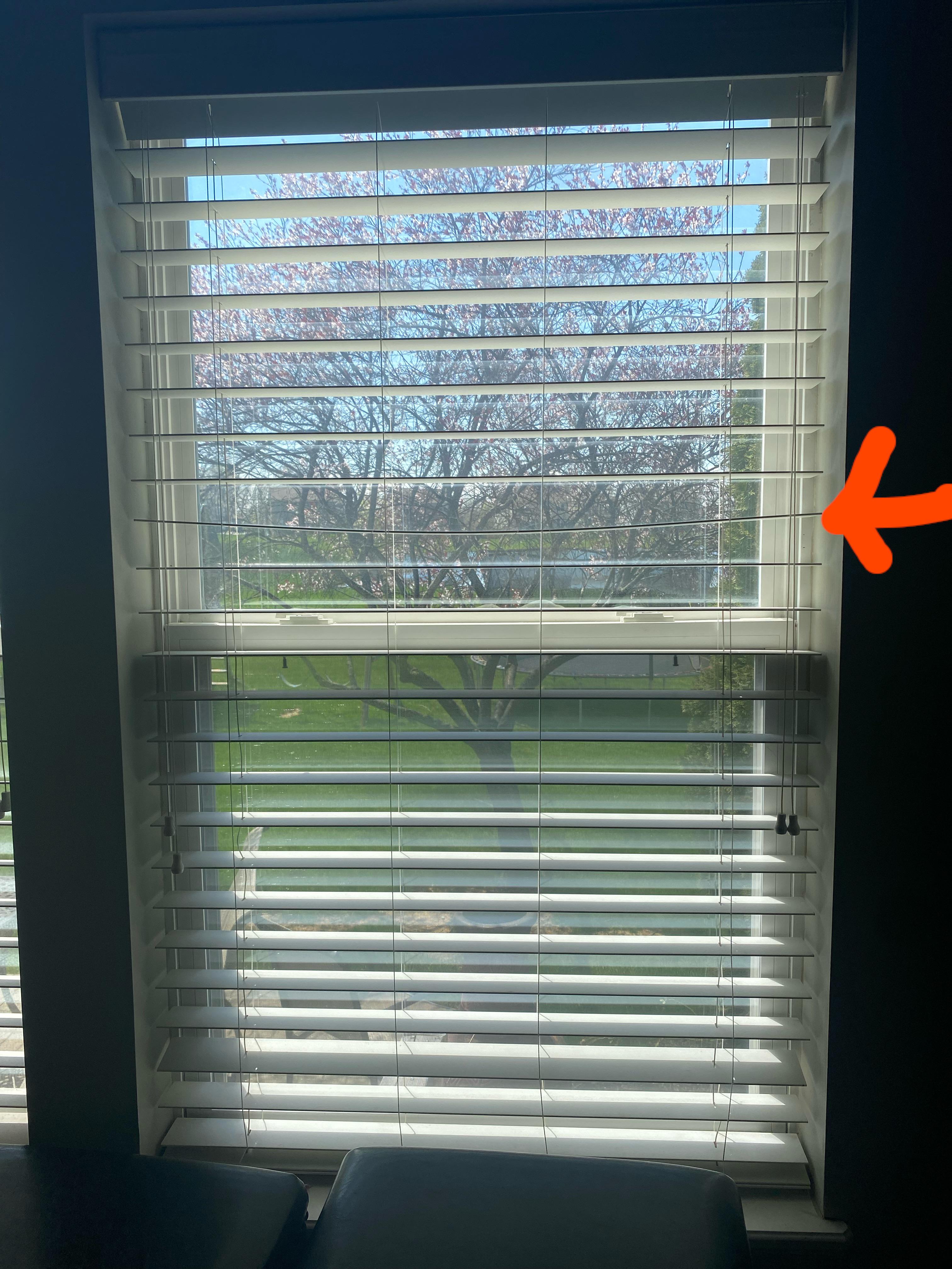 Blind fix? | Scrolller