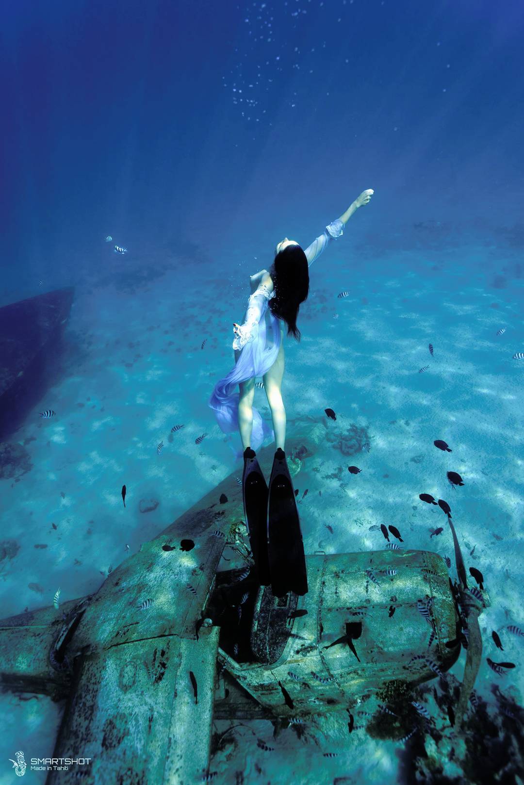 Boobs out plane crash diving | Scrolller