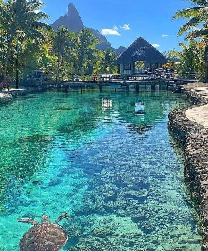 Bora Bora is literally heaven on earth! 💙 | Scrolller