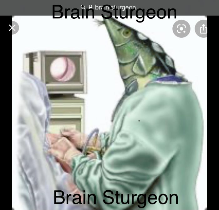 Brain Sturgeon | Scrolller