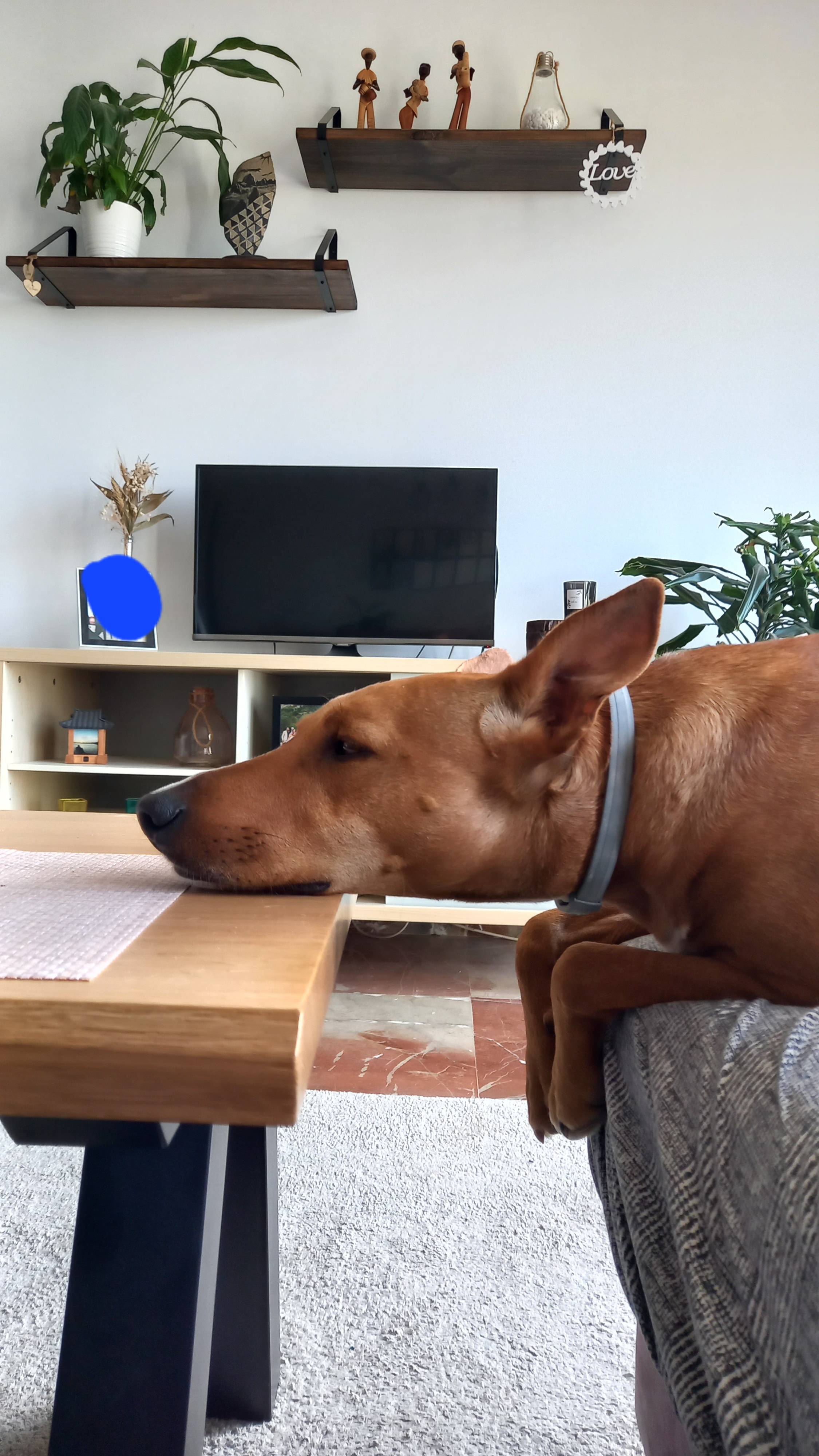 Bridge achieved | Scrolller