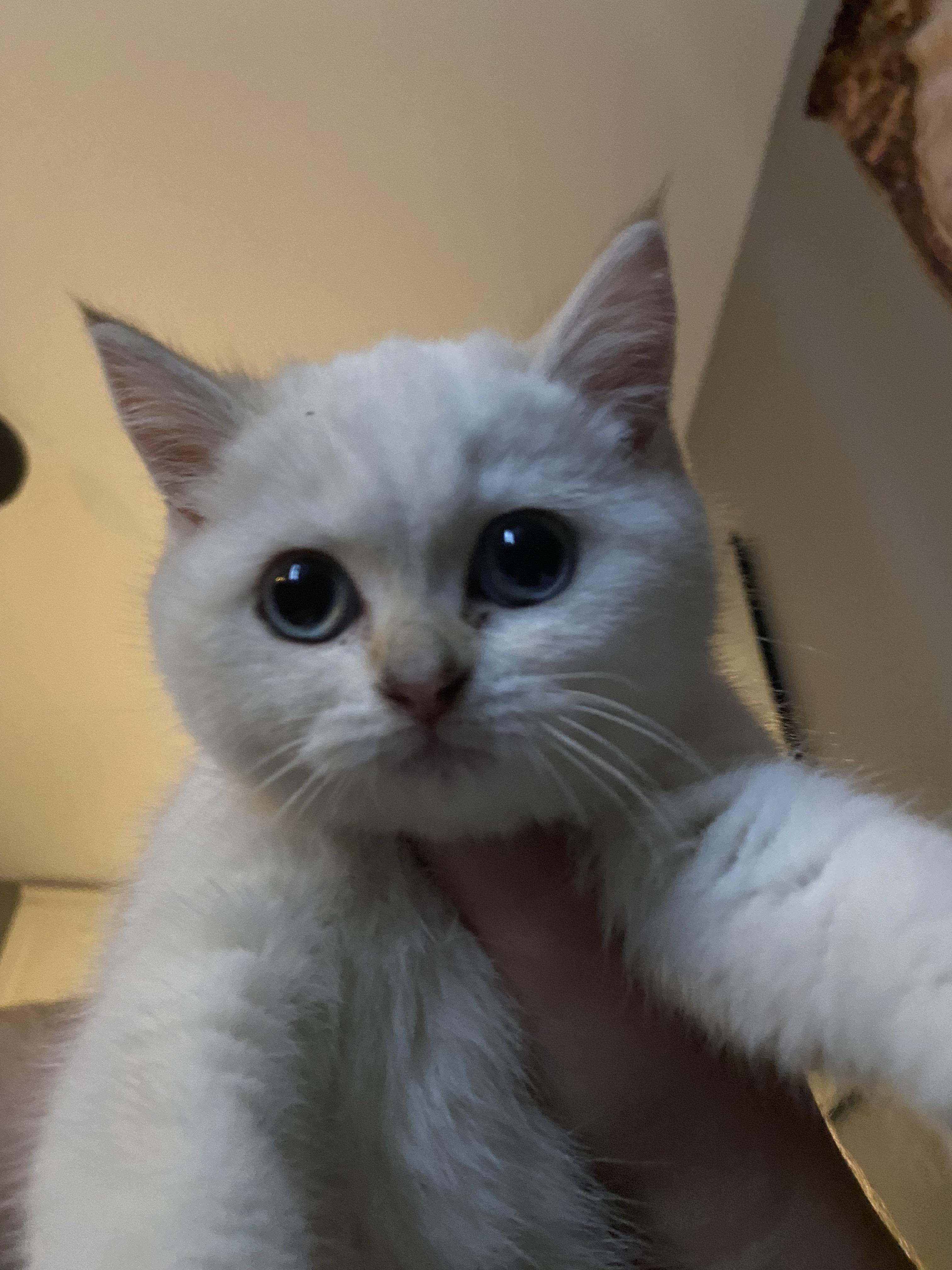 bro flabbergasted | Scrolller