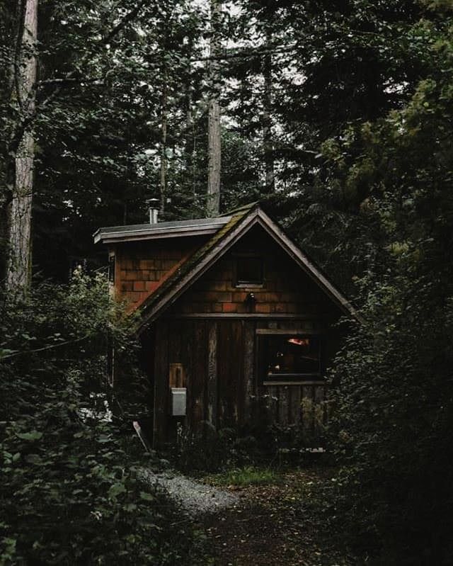 cabin in the woods | Scrolller