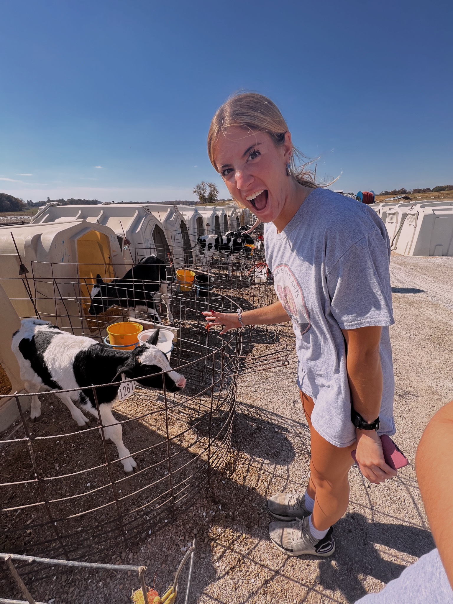 Calf GoesMoo | Scrolller