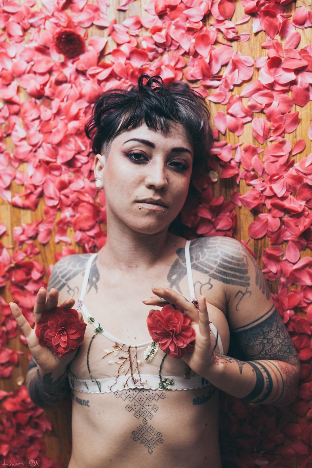 camellias blossom | Scrolller