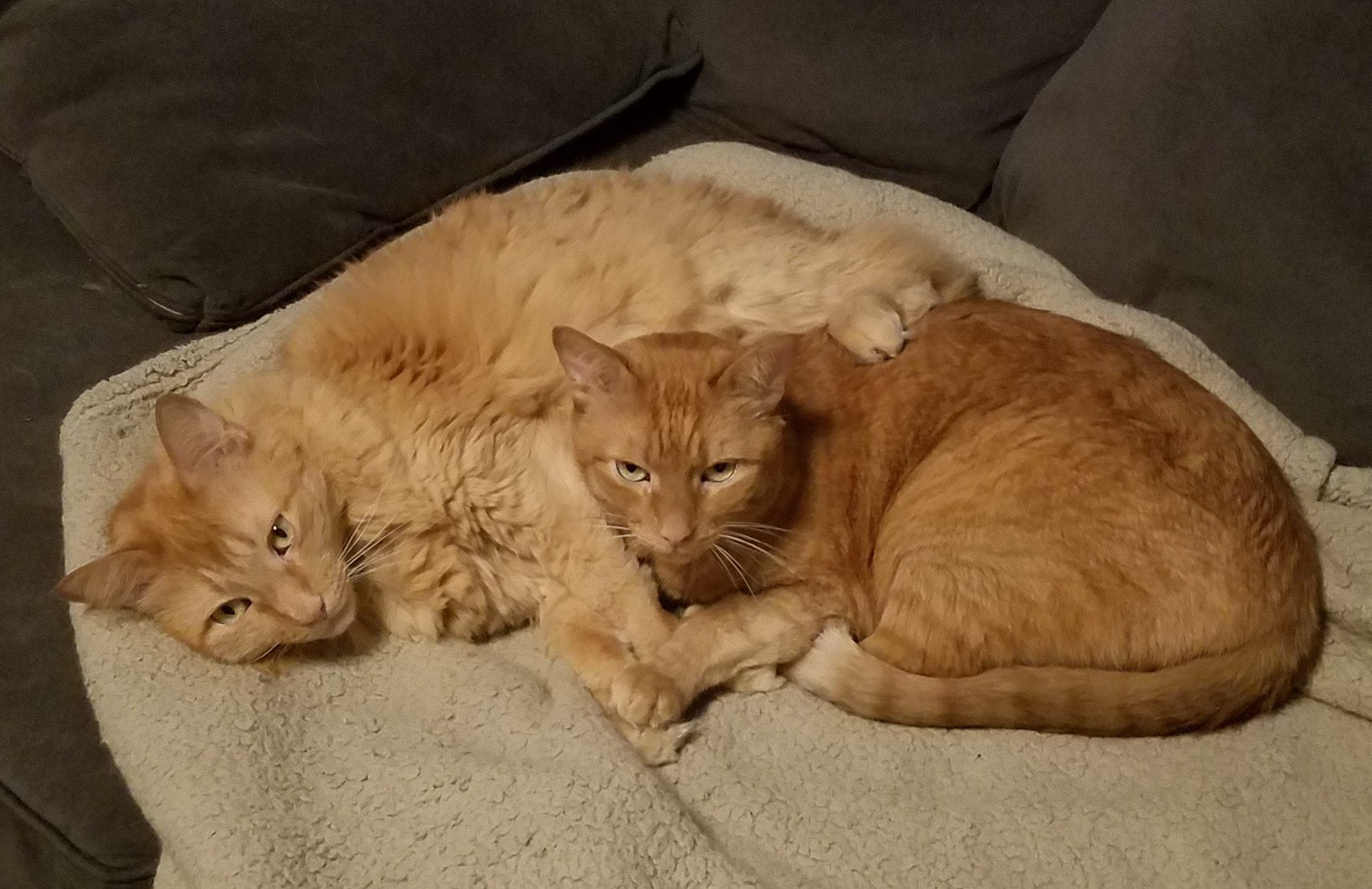 Caught the boys spooning and holding hands | Scrolller