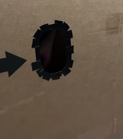 Challenger approaching | Scrolller