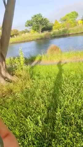 Cheeky flash ;) | Scrolller