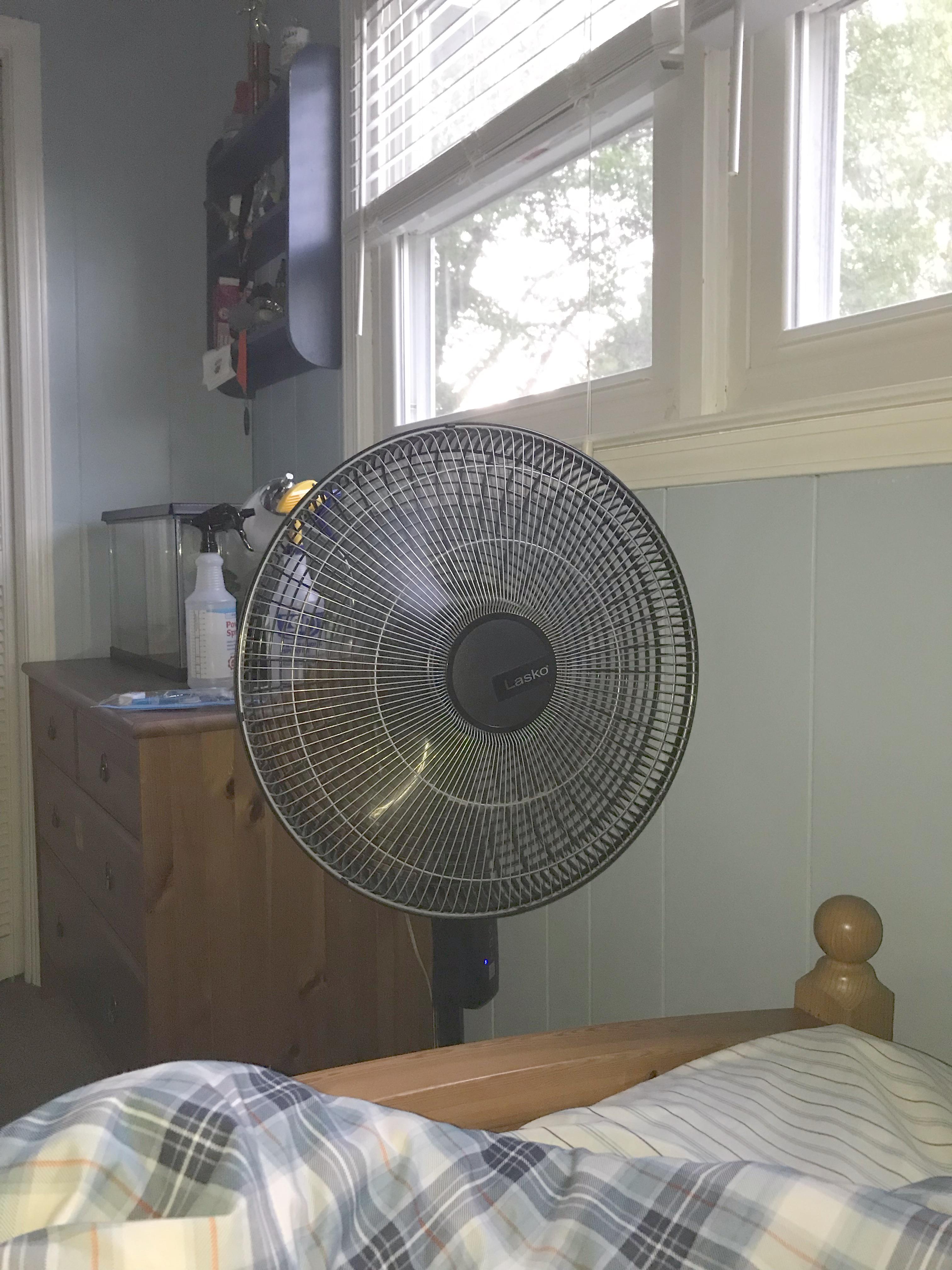 Costco misc. Lasko brand fan | Scrolller