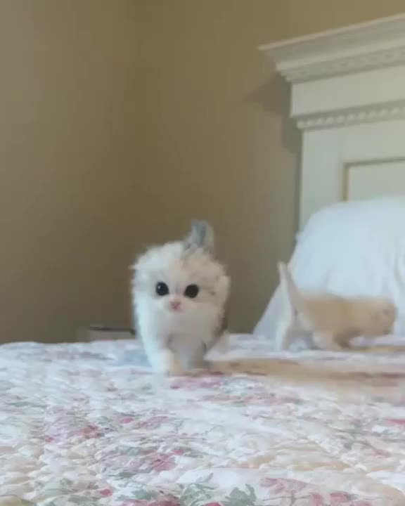 Cuteness overload | Scrolller