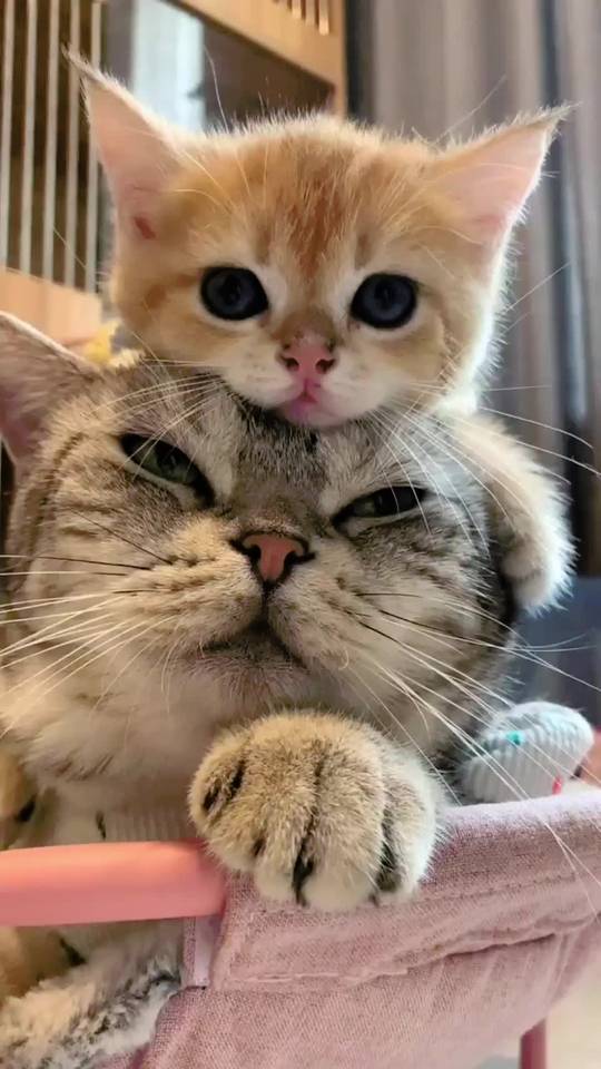 Daddy and baby cuddle time!!! | Scrolller