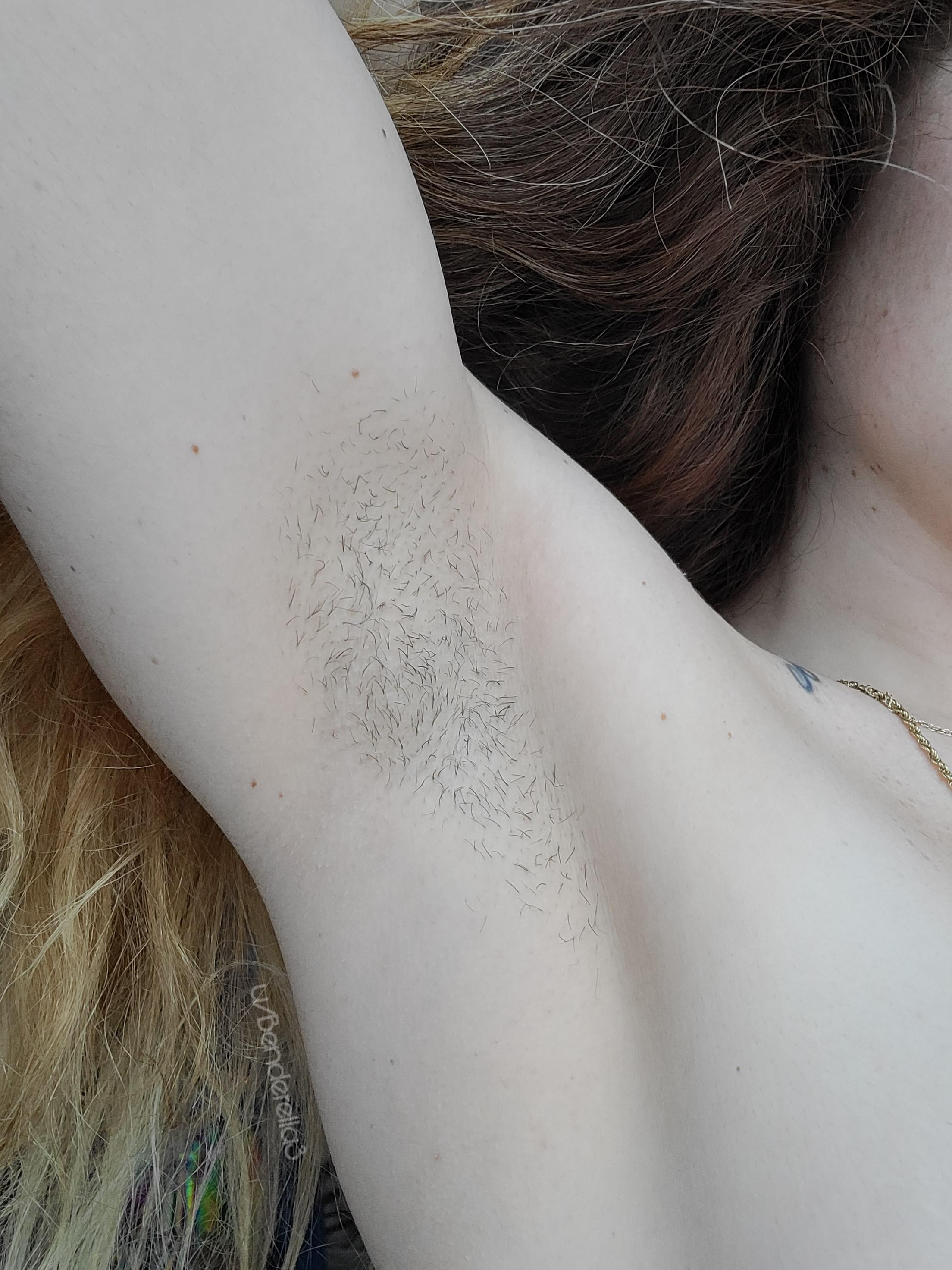 Day 8 / 10 | Scrolller