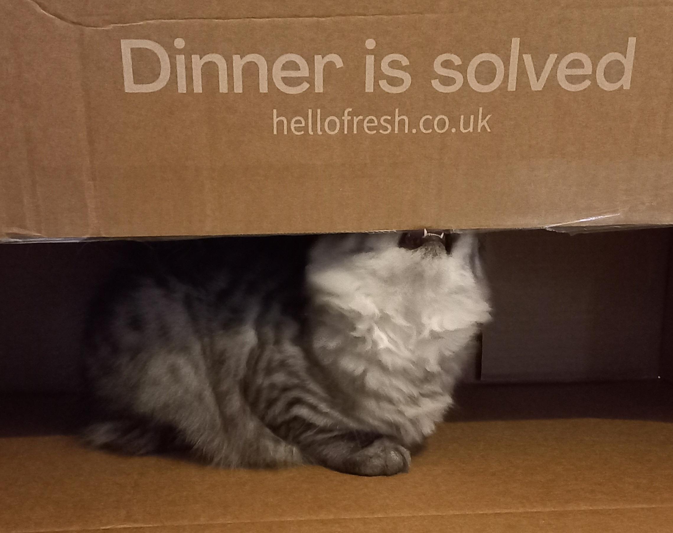 Dinner IS solved | Scrolller