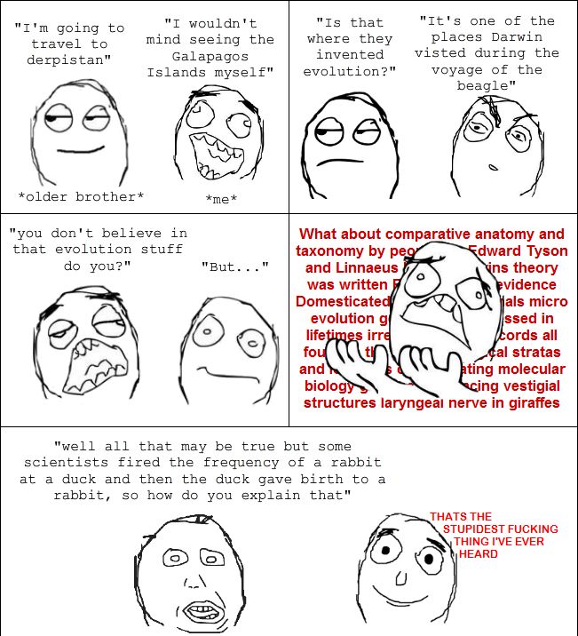 Discussing evolution with my *spiritual* brother | Scrolller