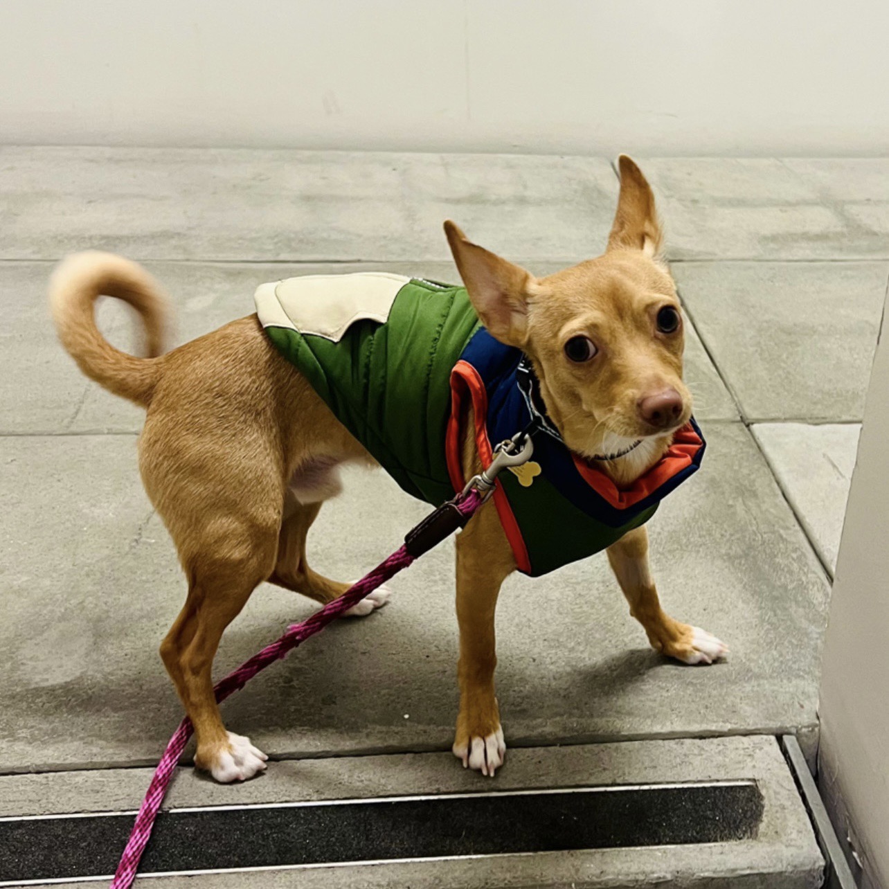 Do my tiny socks count? | Scrolller