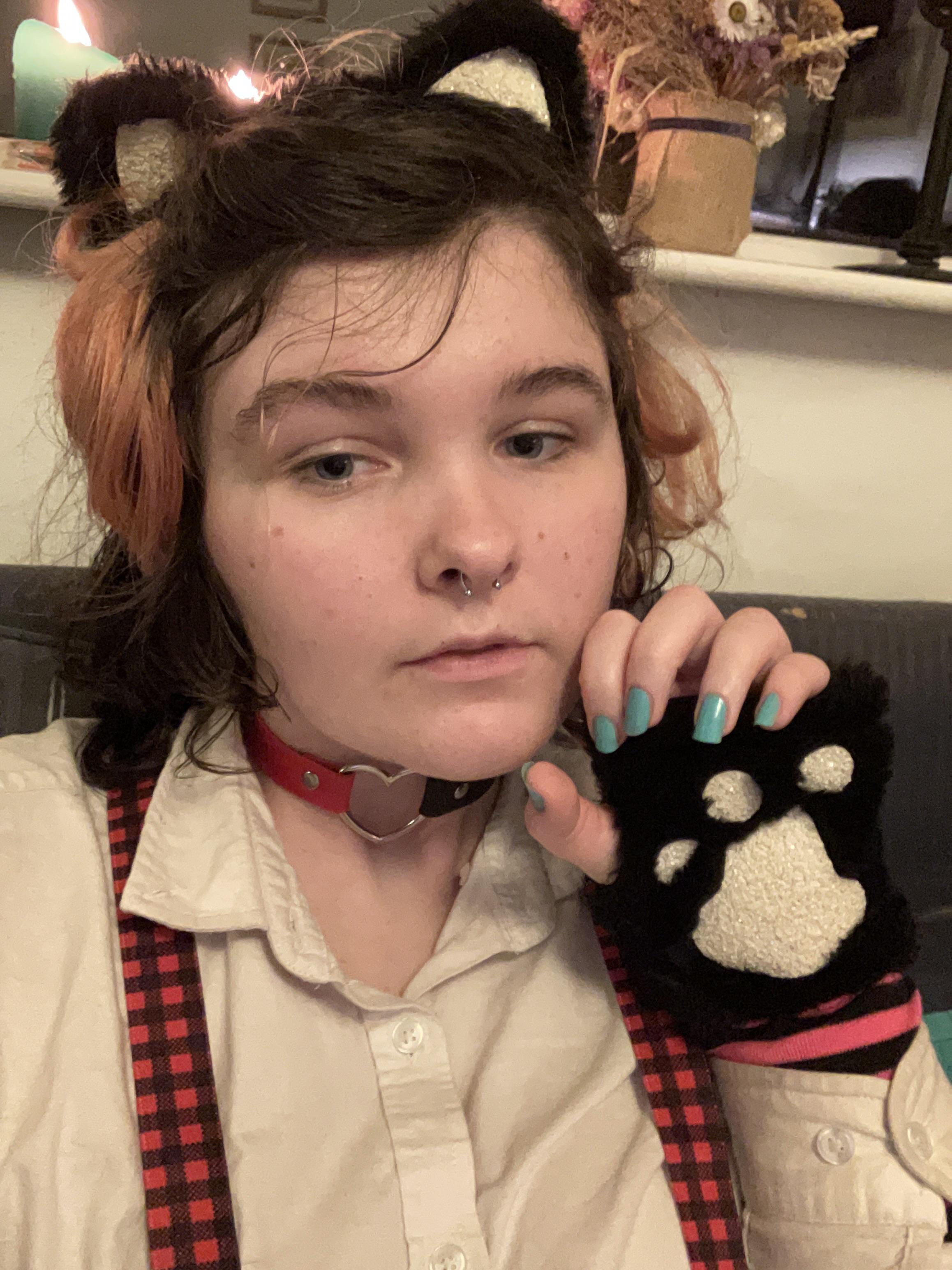 Do y’all like catboys ? | Scrolller