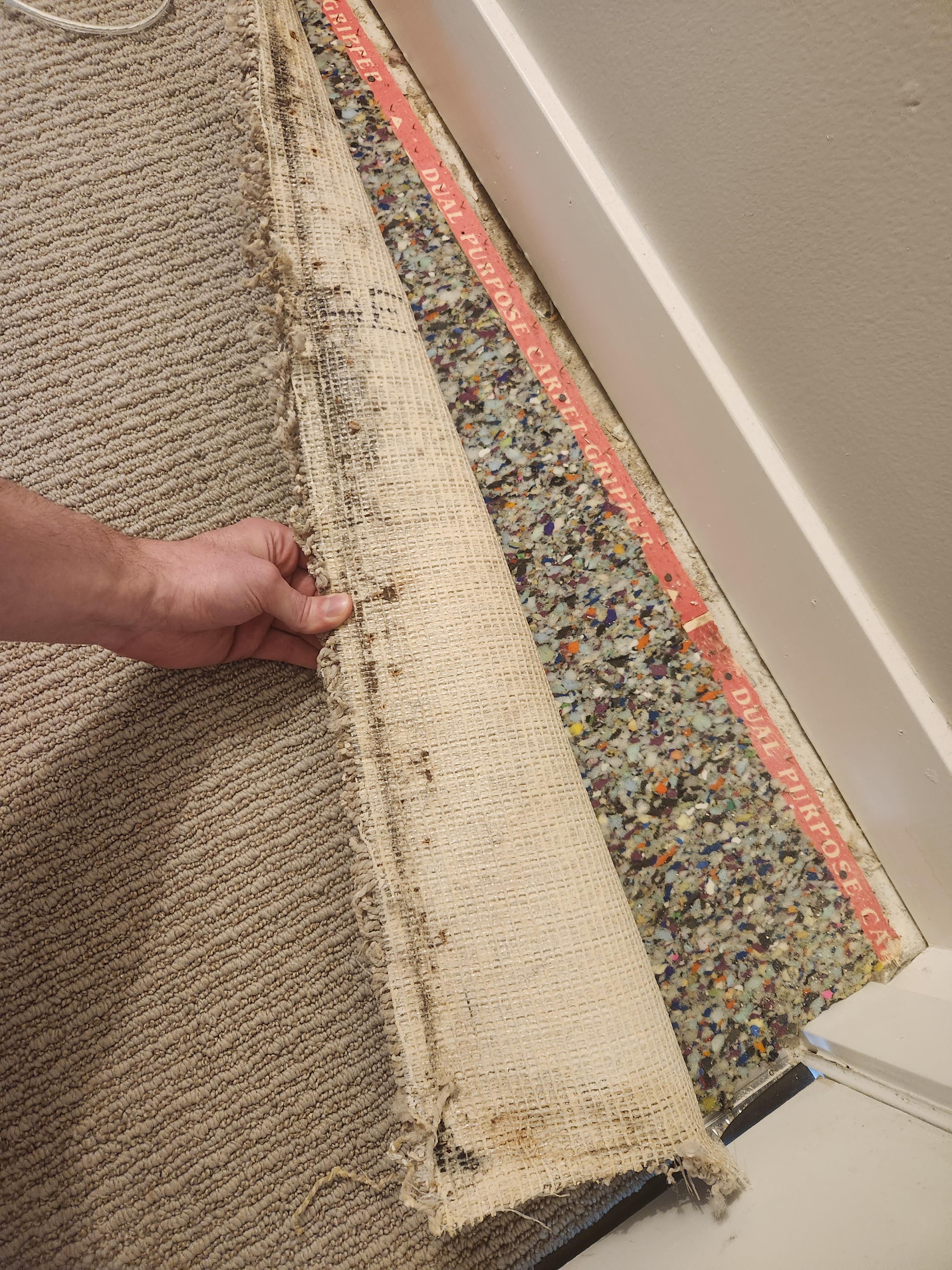 Does this look like mold? | Scrolller