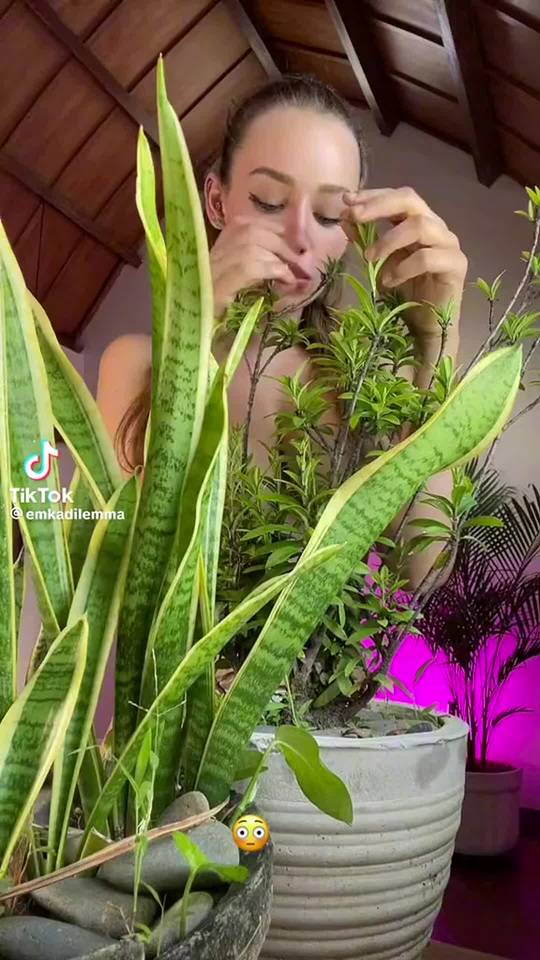 Don't think I need to explain this one | Scrolller