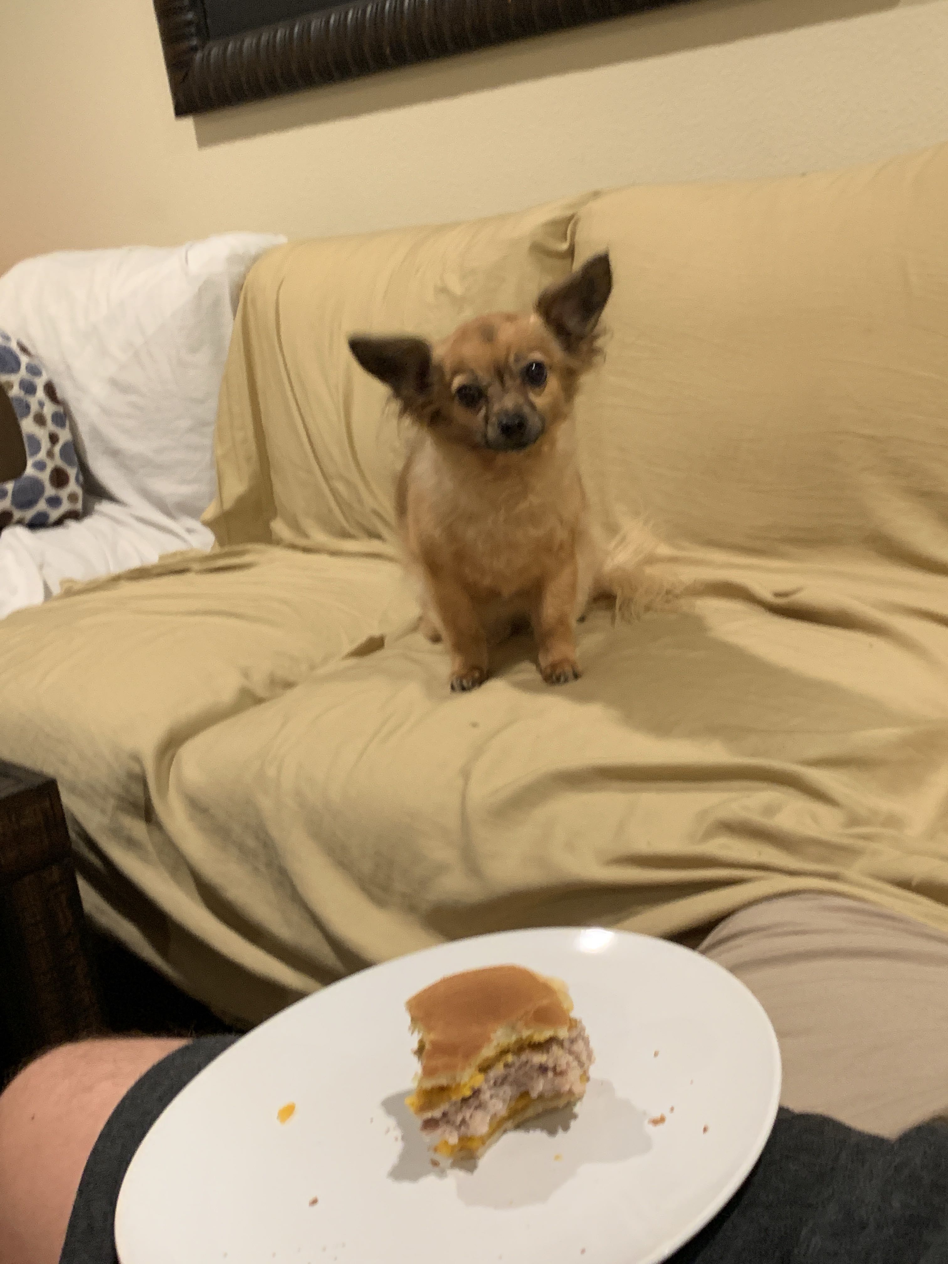 Eating A Burger Scrolller
