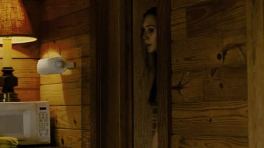 Elizabeth Olsen Old Boy 2013 Scrolller 1388