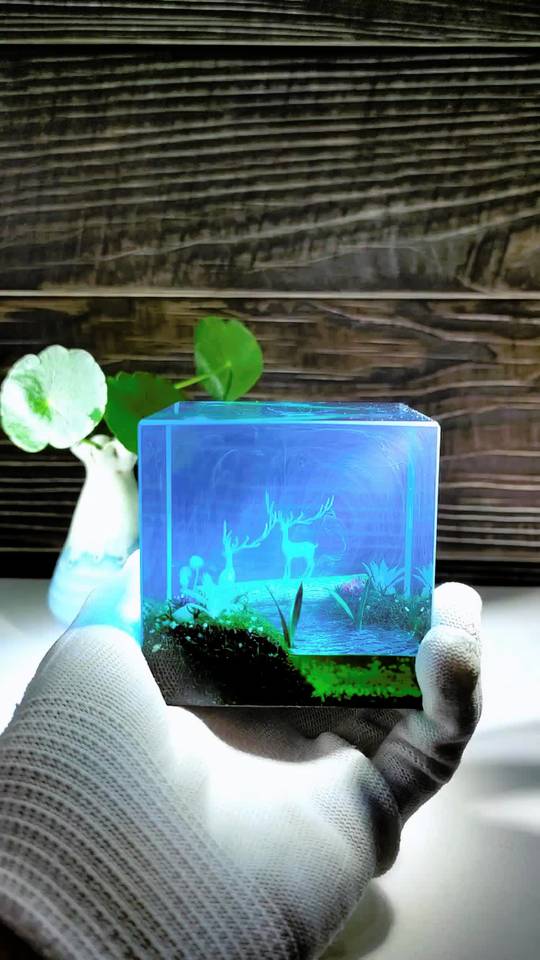 Enchanted forest scene | Scrolller