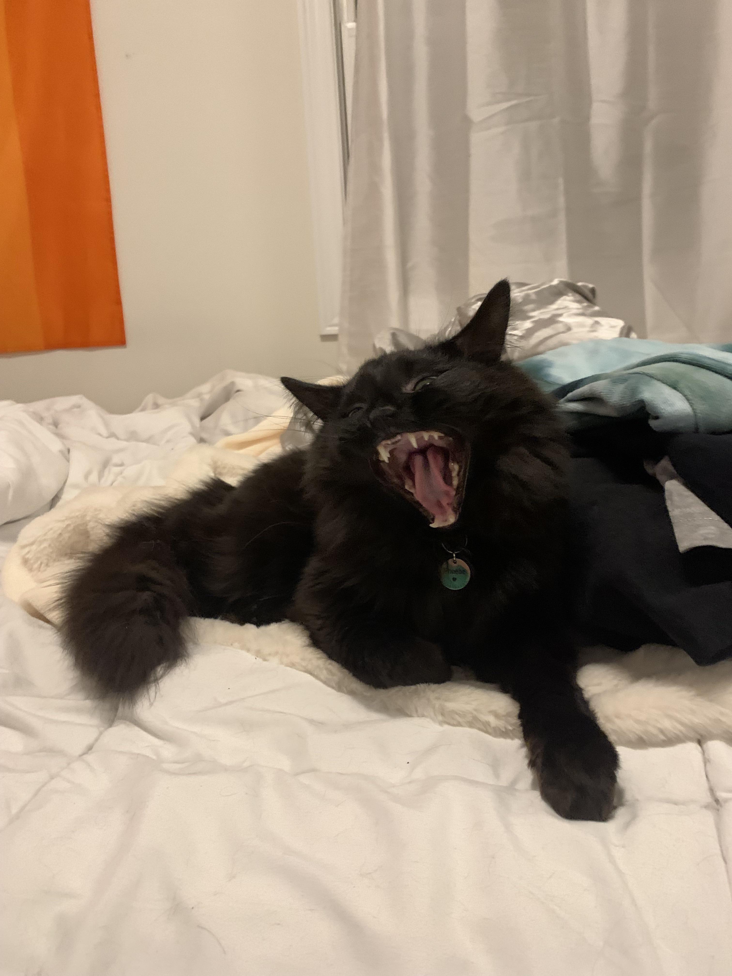 Evil Phoebe | Scrolller