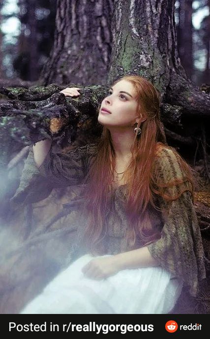 Fairy of the forest | Scrolller